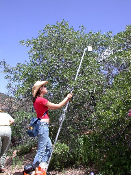 entrepreneurship – Laura Brenner Kimes